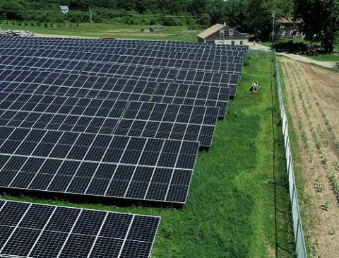 White Oak Solar (2.3 MW) - Green Development, LLC.